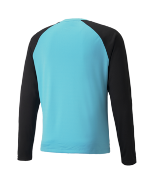 Puma TeamPacer GK LS Jersey